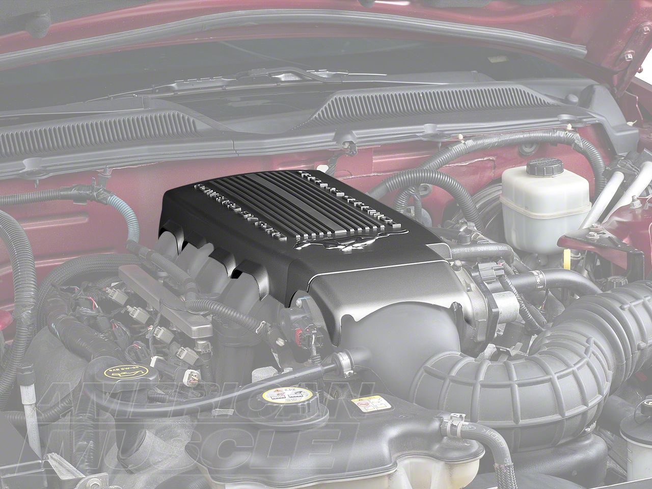 Mustang Plenum Extension Throttle Body Cover (05-10 GT)