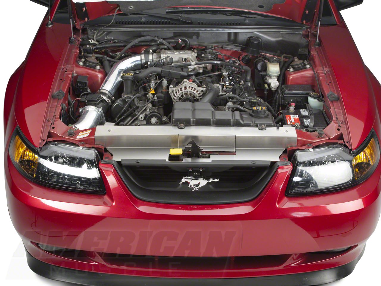 SpeedForm Mustang Modern Billet Stainless Steel Radiator Cover; Brushed ...