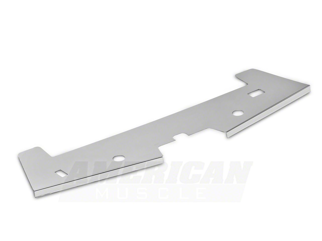SpeedForm Mustang Modern Billet Stainless Steel Radiator Cover ...