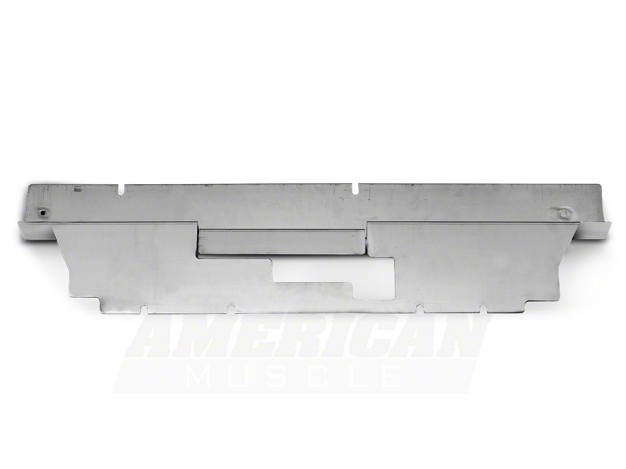 SpeedForm Mustang Modern Billet Stainless Steel Radiator Cover ...