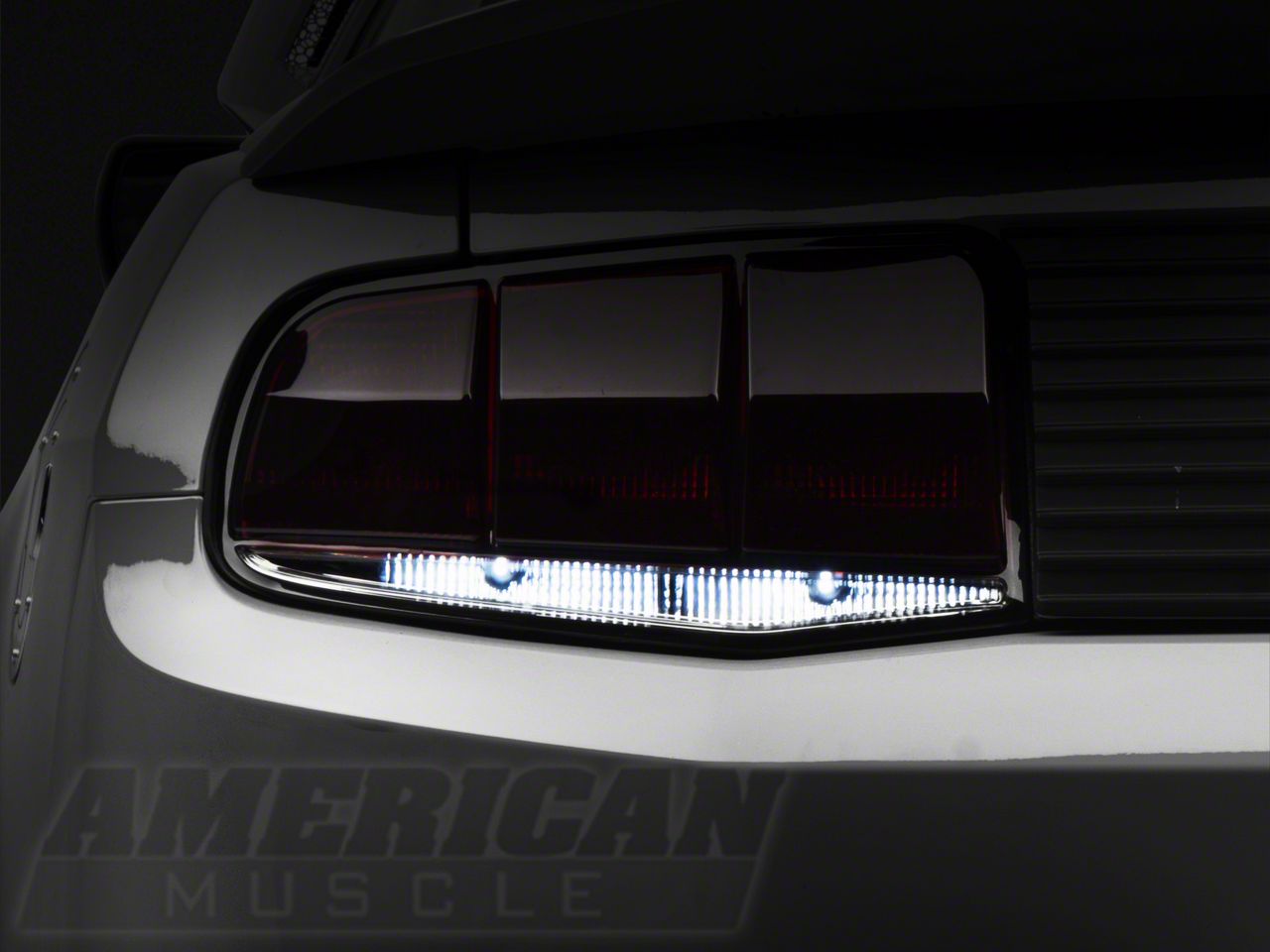Mustang Reverse Light LED Conversion Kit (10-12 All)