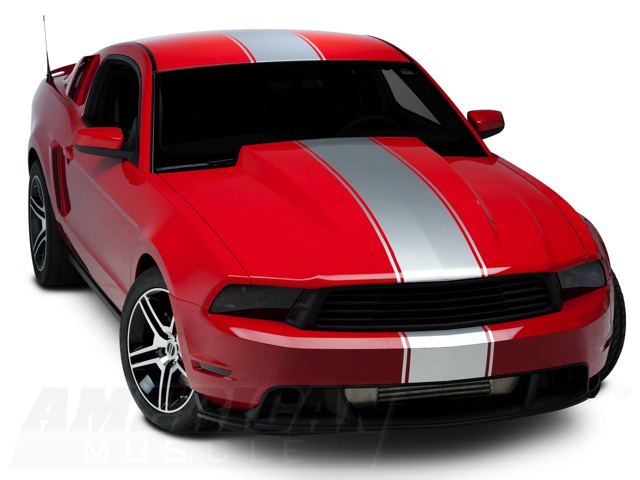 SEC10 Mustang Super Snake Style Stripes; Silver 26157G05 (05-14 Mustang ...