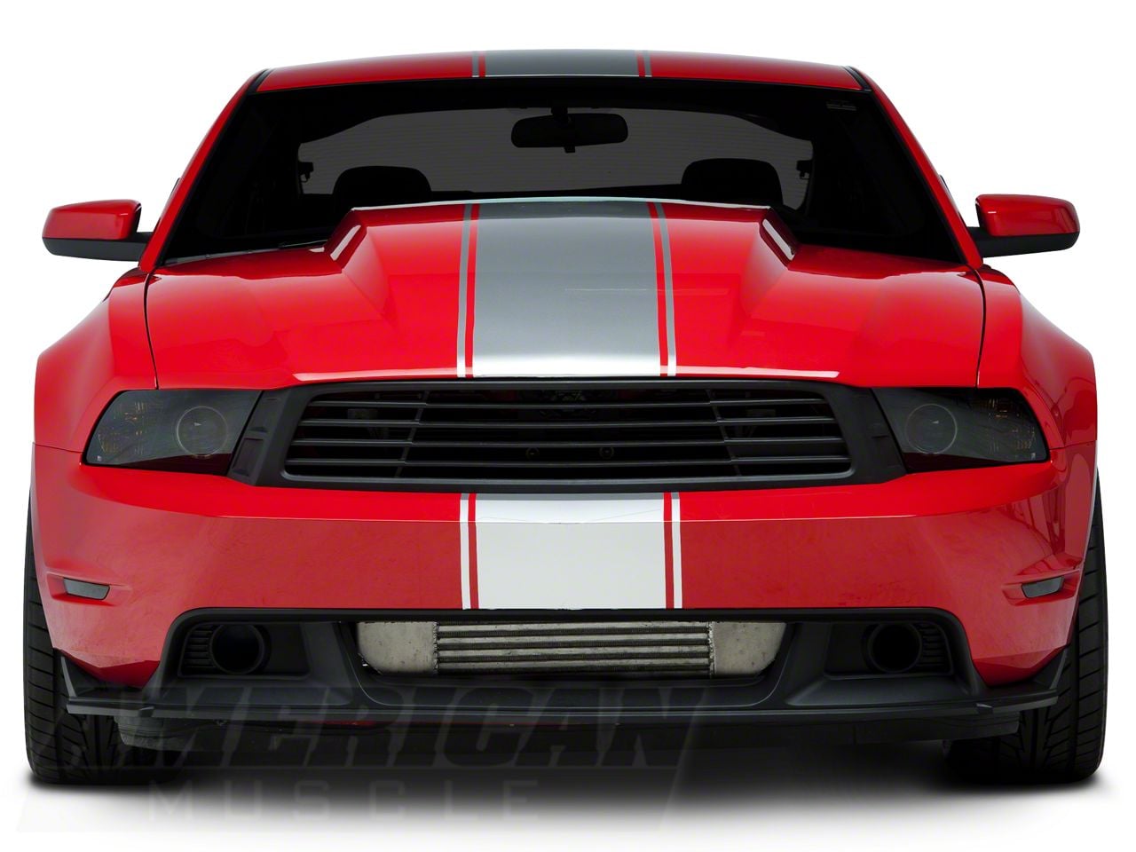 SEC10 Mustang Super Snake Style Stripes; Silver 26157G05 (05-14 Mustang ...