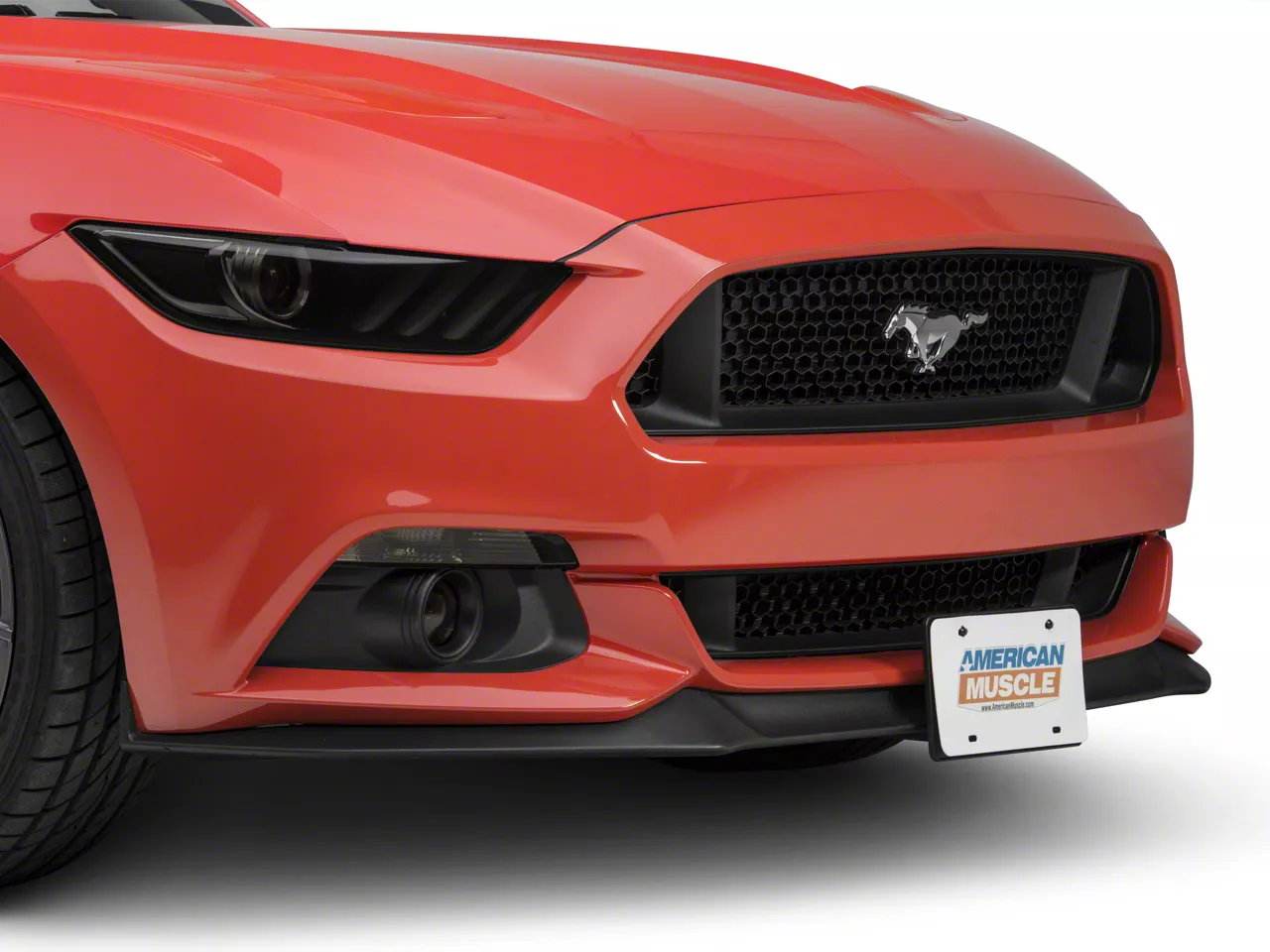 Ford Mustang License Plates & License Plate Frames | AmericanMuscle