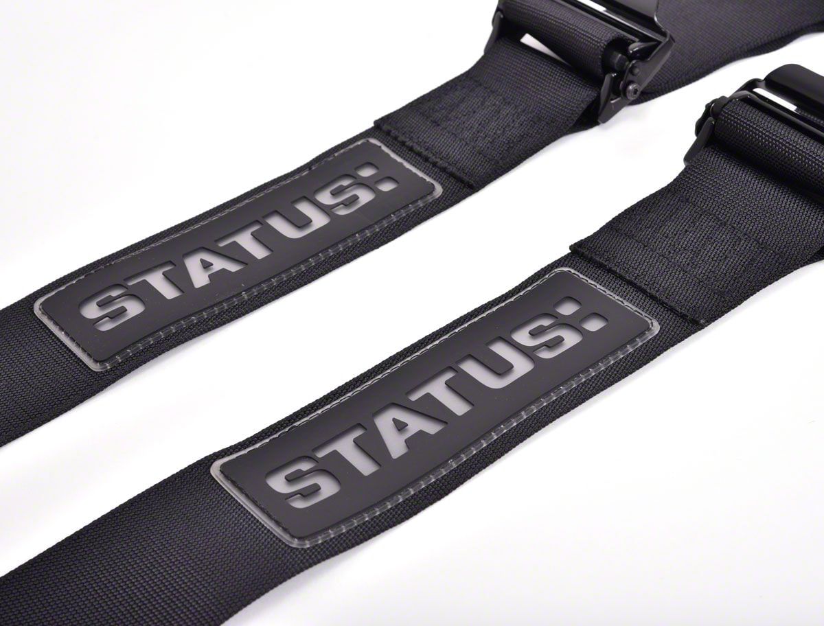 Status: Challenger 5-Point Camlock Harness; Black SRSB5.B (Universal ...