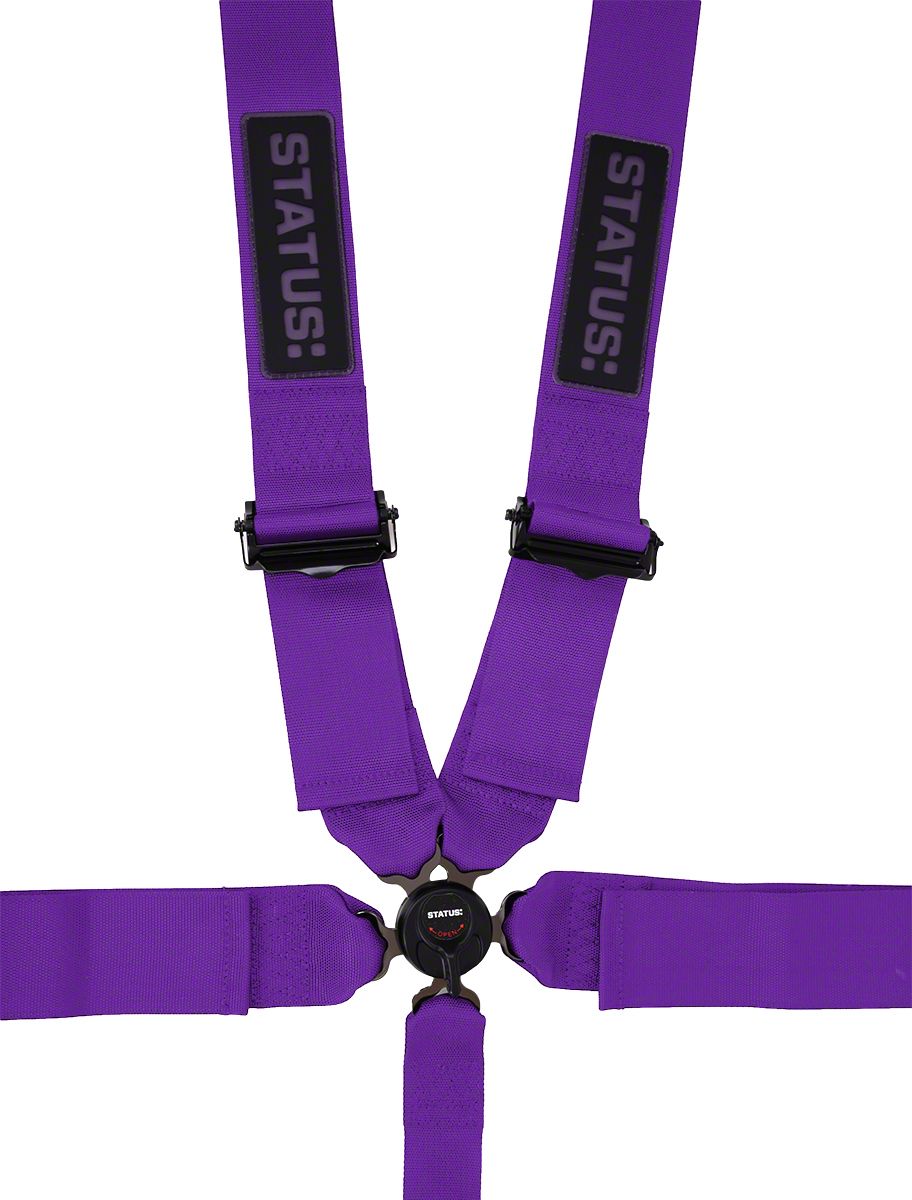 Status: Mustang 5-Point Camlock Harness; Purple SRSB5.PU (Universal ...