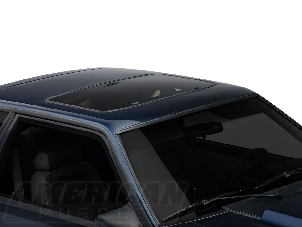 OPR Mustang Sunroof Glass Weatherstrip 17116 (79-93 Mustang) - Free ...