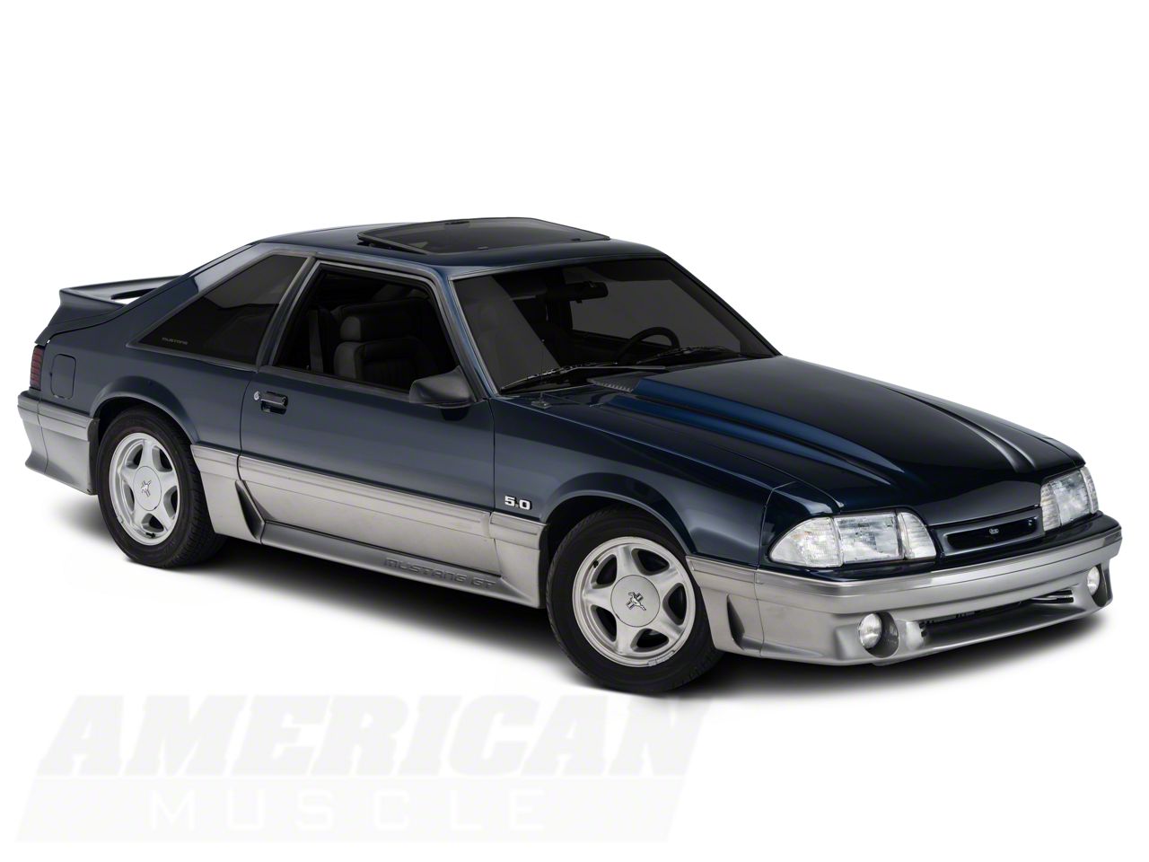 OPR Mustang Sunroof Glass Weatherstrip 17116 (79-93 Mustang) - Free ...