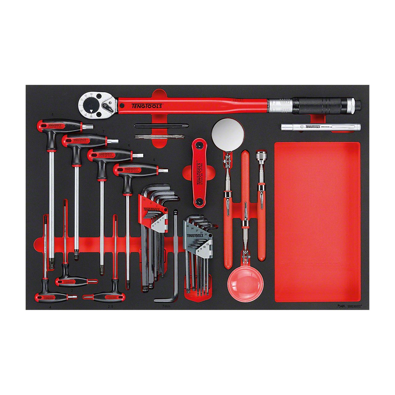 Teng Tools Universal AM 1/2-Inch Drive Torque Wrench and Inspection ...