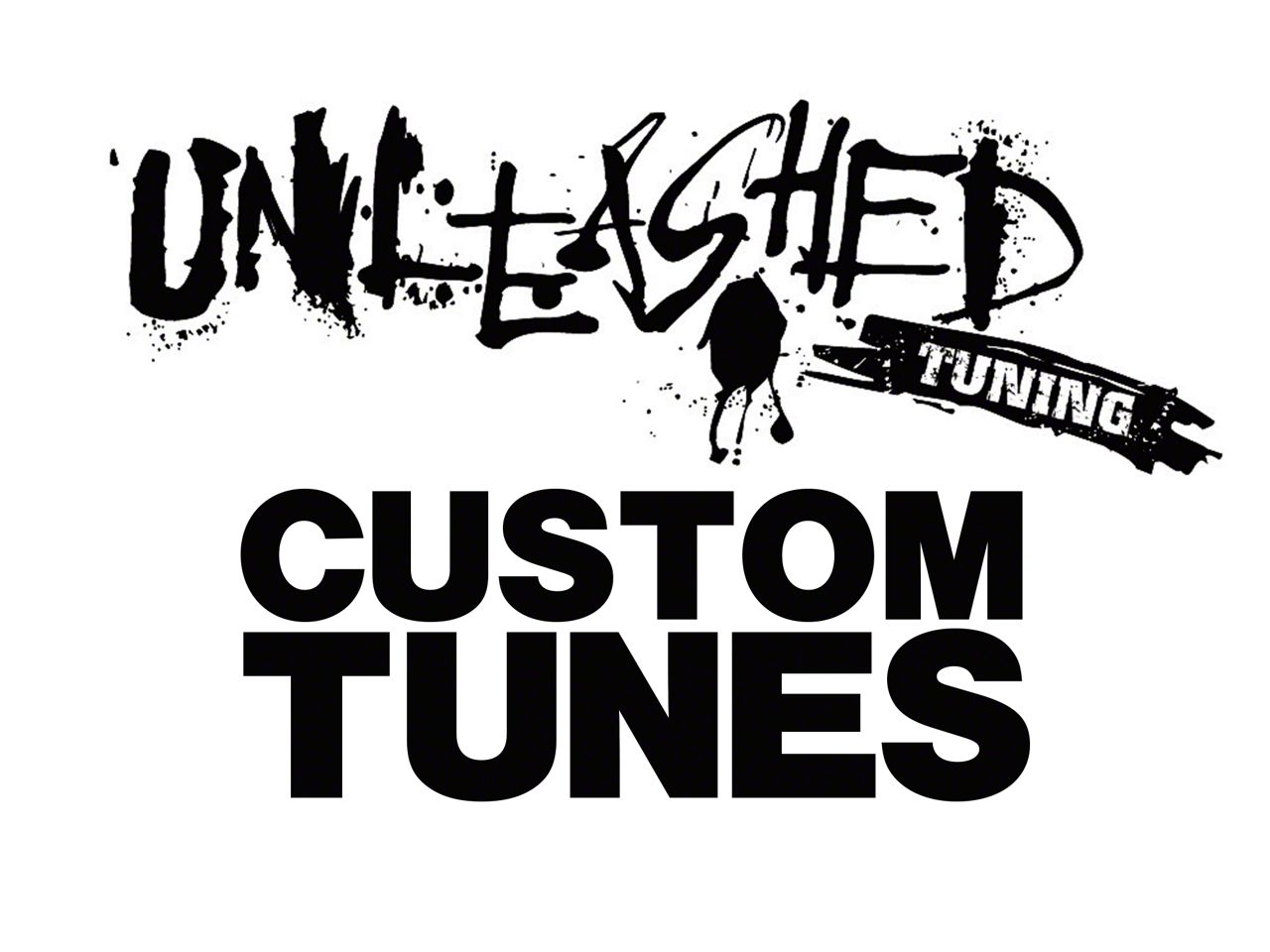 Unleashed Tuning Mustang Custom Tunes; Tuner Sold Separately 402162 (15 ...