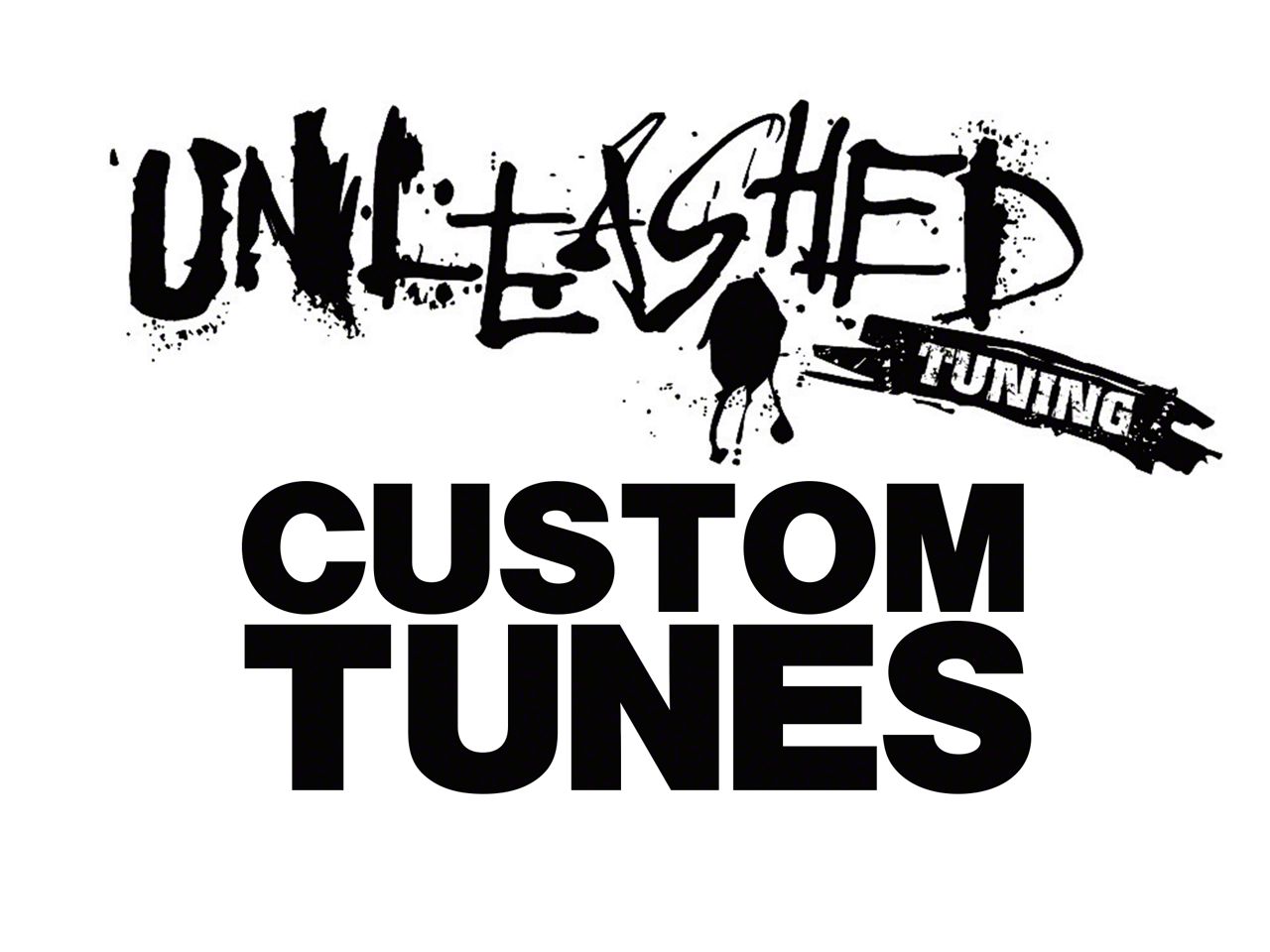 Unleashed Tuning Mustang Custom Tunes; Tuner Sold Separately 402165 (10 ...