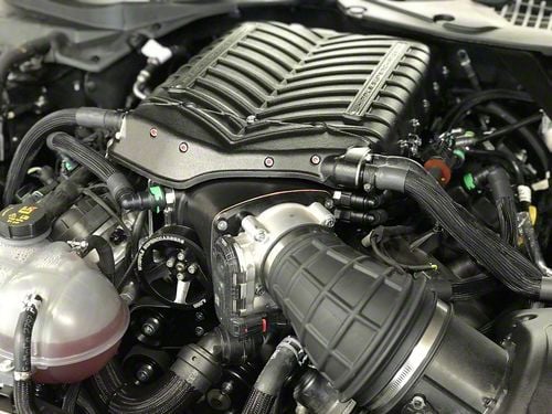 Whipple Mustang W185RF 3.0L Intercooled Supercharger Competition Kit ...