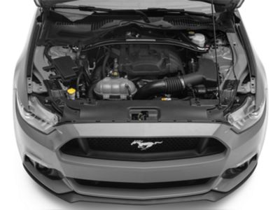 Ford Performance Mustang Strut Tower Brace M-20201-MA (15-25 Mustang GT ...