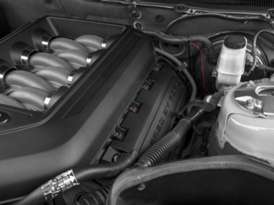 Ford Performance Mustang Coil Covers with Powered By Ford Logo; Black M ...