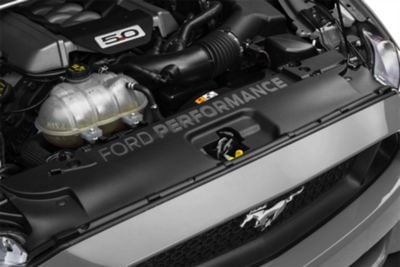 MMD Mustang Radiator Extension Covers 398225 (15-17 Mustang GT ...