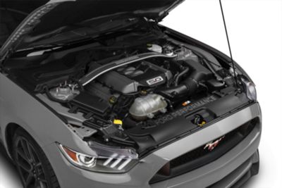 Ford Performance Mustang Radiator Cover with Ford Performance Logo M ...