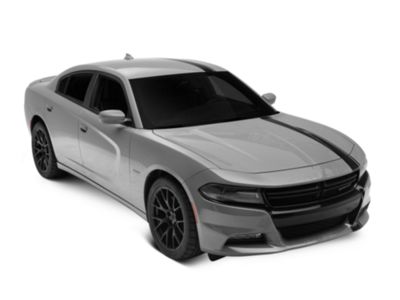 SEC10 Charger Narrow Pin Stripe Full Length Stripes; Gloss Black ...