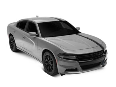 SEC10 Charger Narrow Pin Stripe Full Length Stripes; Matte Black ...